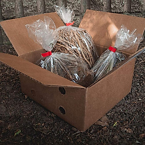 Mixed Heart-Shaped Hosta Bare Roots - Rich Green Foliage, Low Maintenance, Heart Shaped Leaves - 6 Roots