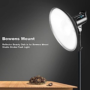 Soonpho 16 inch/42cm Standard Reflector Beauty Dish with Honeycomb Grid, Diffuser Sock and Bag,for Bowens Mount Studio Strobe Flash Light Like Neewer VC-400HS VE-300 Godox AD200 AD180 AD360(Silver)