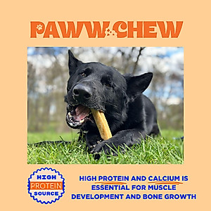 PAWW CHEW Yak Cheese Himalayan Dog Chews - All Natural Long Lasting Dog Treats, (Large - 4 Pack) Odorless, High Protein Yak Chew, Great for Oral Health, Only 3 Ingredient Yak Bone for Power-Chewers
