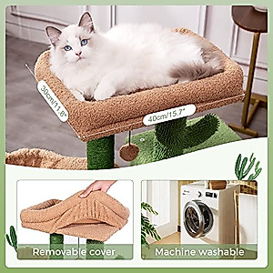 MeowSir Cactus Cat Tree 34 Inches Cute Cat Tower with Padded Top Perch, Comfy Hammock, Private Condo, Fully Scratching Post and Dangling Bell Ball for Indoor Cats- Khaki