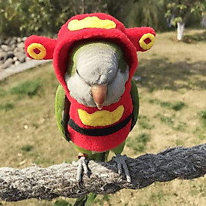 Bird Costume Bird Diaper Flight Suit Bird Clothes Cosplay Photo Prop for Parrots Lovebird Parakeet Cockatiel Small Animals Apparel (Without Diaper,Cockatiel)