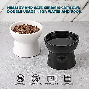 Elevated Cat Water Bowl - Raised Ceramic Cat Food Dish - Anti Vomiting - Extra Wide Whisker Friendly - Microwave & Dishwasher Safe - 6.1 inch - 18.5 oz - 550 ml