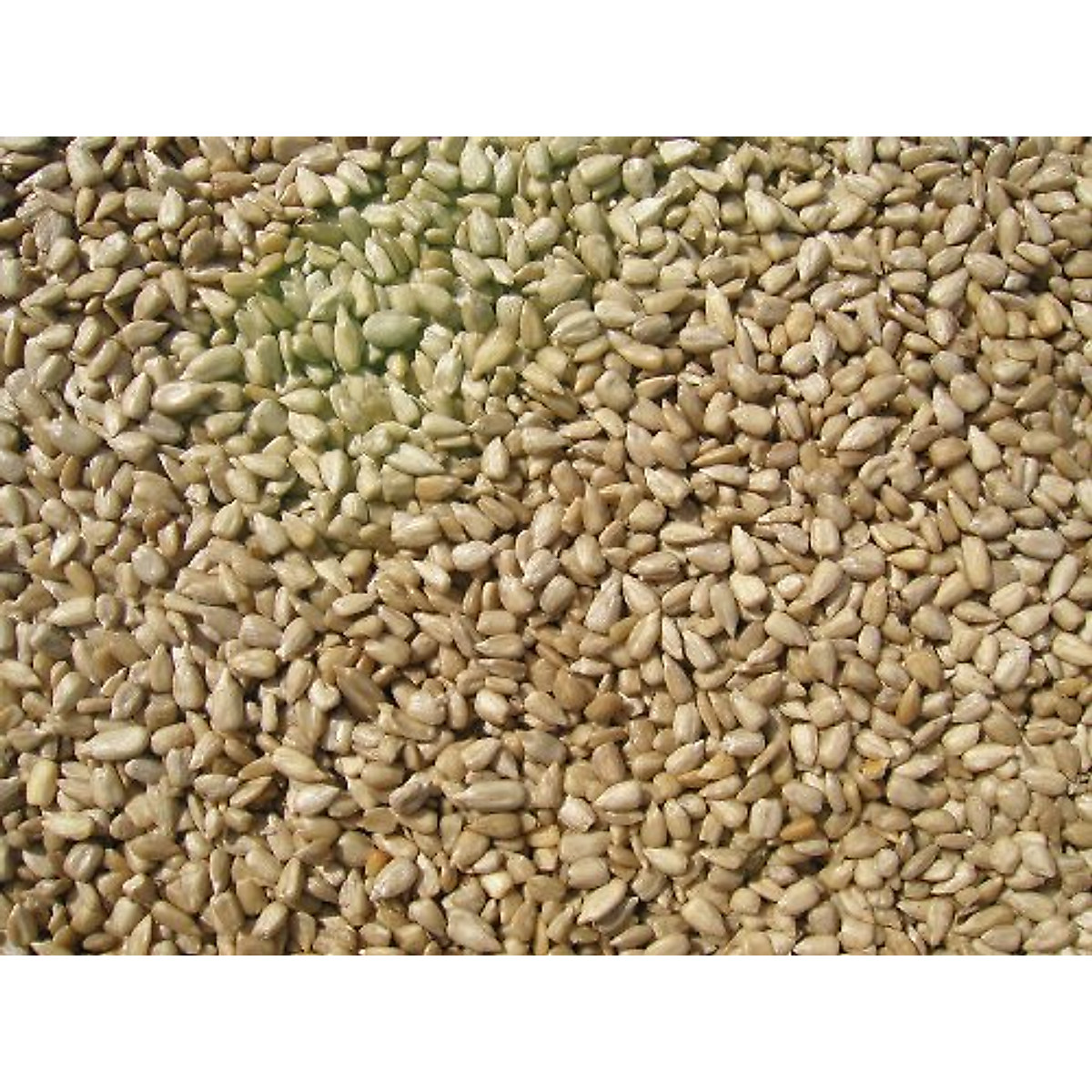 Cole's SM10 Sunflower Meats Bird Seed, 10-Pound