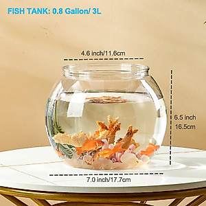Newpol 0.8 Gallon Plastic Aquarium Fish Tank, Small Fish Tank Starter Kits, Fish Bowls