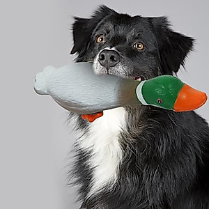 Ipetboom Dog Molar Plaything Squeaky Teething Toy Shaped Chewing Toy Funny Toy