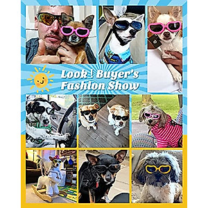 Lewondr Dog Sunglasses Small Breed Dogs Goggles UV Protection,Goggles for Small Dogs Eye Wear Protection with Adjustable Strap Windproof Anti-Fog Sunglasses for Small Dogs Doggy Doggie Glasses,Black
