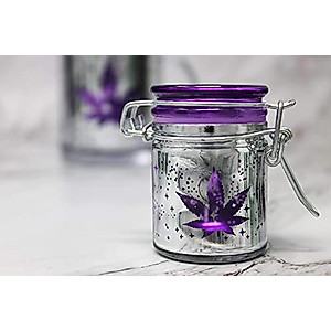 Airtight Glass Herb Stash Jar with Clamping Lid in Choice of Design (Metallic Silver/Purple, Small)