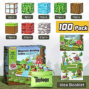 100PCS Magnetic Blocks-Build Mine Magnet World Set, Magnetic Toys for Boys & Girls Age 3-5 6-8, STEM Sensory Toys for Toddlers Gifts for 3+ Years Old Girls Boys, Classroom Must Haves Construction Toys
