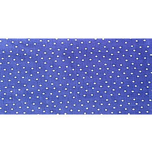 Chicken Diaper-L-Blue