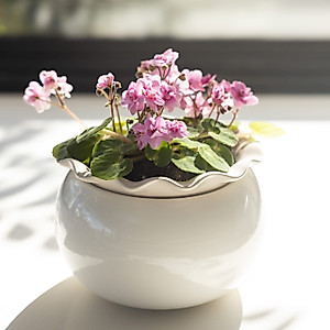 African Violet Pots 6 Inches Ceramic, Effortless Self Watering Pots for Indoor Plants for Busy Plant Lovers, Easy Plant Self Watering Pot, Plant Pots, Flower Pot, Plant pots Indoor