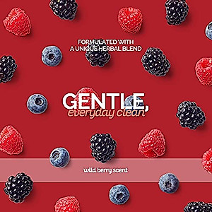 Bark2Basics Wild Berry Dog Shampoo, 16 oz - Naturally Derived, Unique Herbal Blend, For Dry Itchy Skin, Gentle, Moisturizing