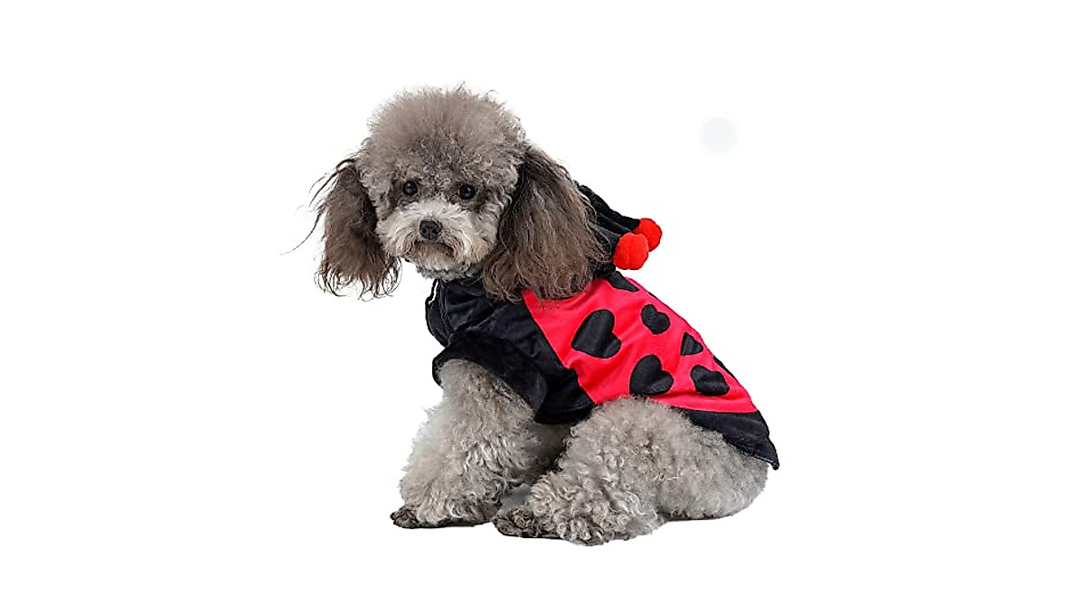 Mogoko Ladybug Dog Costumes for Adorable Pets