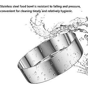 Tfwadmx Pet Double Dishes Rabbit Food Water Dispenser Set Cat Self Filling Bowls No Spill Dog Automatic Waterer Bottle Anti Gravity Feeder Cute Detachable Stainless Steel Bowl for Kitten Puppy Bunny