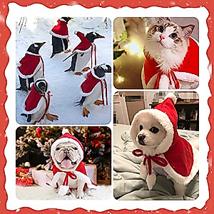 Pet Christmas Costume Cat Dog Poncho Cape with Hat Santa Claus Cloak for Cats and Small Dogs Red Winter Outwear Funny Christmas Pet Dress Up Soft and Thick Red Velvet Apparel for Cats (Medium)