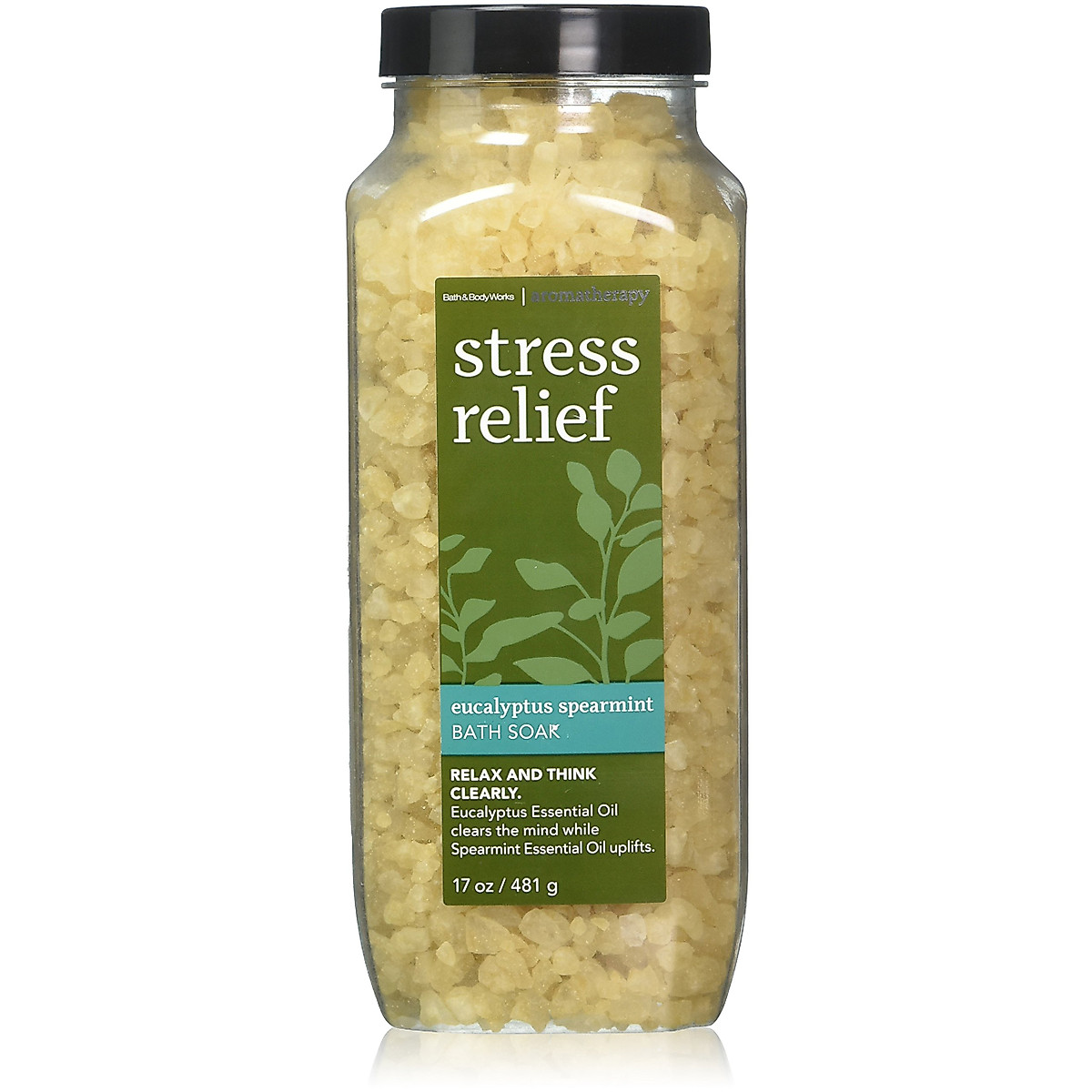 Bath and Body Works Eucalyptus Spearmint Bath Soak Aromatherapy