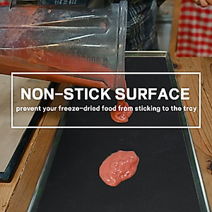 Perditan Tray Mats Set for Harvest Right Freeze Dryer Accessories (L - Large) 6 Pack, Non-Stick, Washable - Teflon Mats Compatible with Harvest Right Freeze Dryer Trays