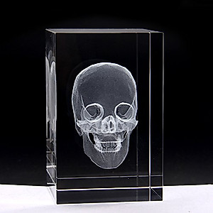 3D Human Skull Anatomical Anatomy Model Paperweight(Laser Etched) in Crystal Glass Cube Science Gift (No Included LED Base)(3.1x2x2 inch)