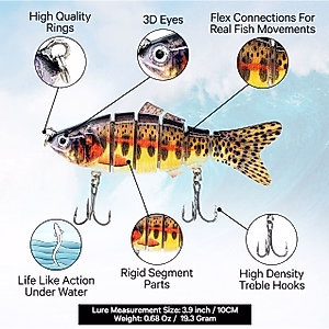 Fishing Lures Gift Box - Mystery Tackle Box - Freshwater & Saltwater Fishing Lures, Gifts for Men who Loves Fishing