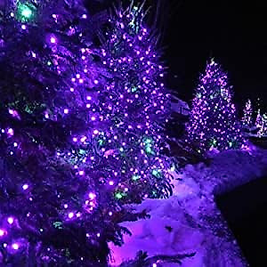 FUNPENY Halloween Clear Mini String Lights, Total 32FT 100LED Battery Operated Waterproof Fairy Lights with 8 Lighting Modes, Halloween Decorations for Indoor Outdoor Garden Party(Purple,2 Pack)