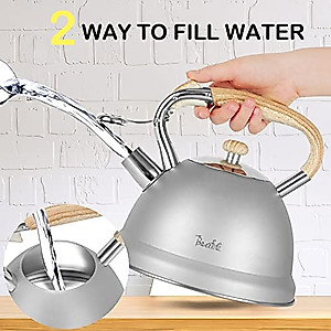 BAERFO 3.17 QT Stove Top Whistling Tea Kettle,Stainless Steel Teakettle,Teapot for Stove with Premium Zinc Alloy Silicone Grip(Silver)