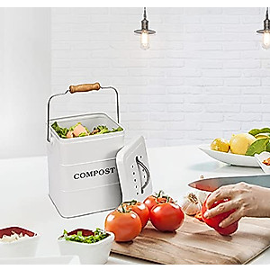 ayacatz Stainless Steel Compost Bin for Kitchen Countertop Compost Bin，1 Gallon, Kitchen Trash Can -Includes Charcoal Filter，Compost Bucket Kitchen Pail Compost with Lid -White