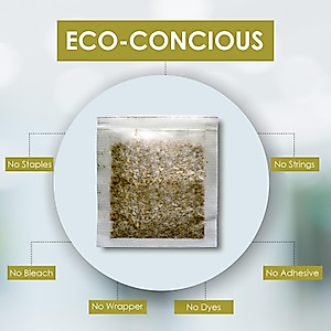 Earth BOTANIC Organic English Breakfast Black Tea Bags Chinese Keemun & Indian Assam Blend - Eco-Conscious Tea Bags in Kraft Bag - 100 Tea Bags