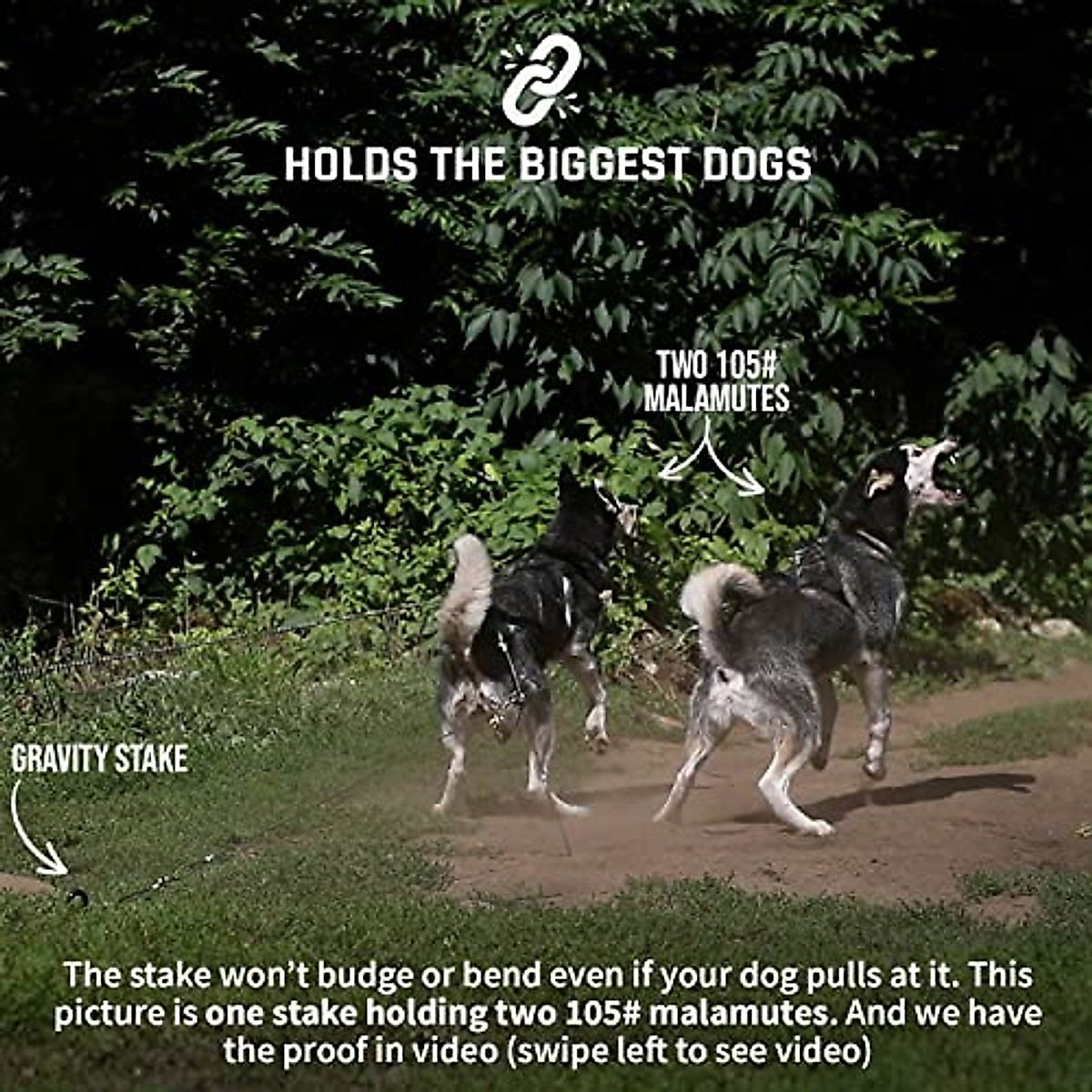 SÄKER Heavy Duty Tie Out Stake - Strongest Dog Anchor Holds 2 Large Dogs Over 180lbs | Premium Dog Stake for Peace of Mind in The Yard, Camping or at The Beach. Use Any Dog Tie Out or Dog Lead