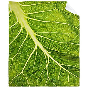 RICKYOUNG Lettuce Flannel Lightweight Blankets Quilt Plush Fleece Soft Bedding Throw Blanket for Couch and Bed 80"x60" for Adult