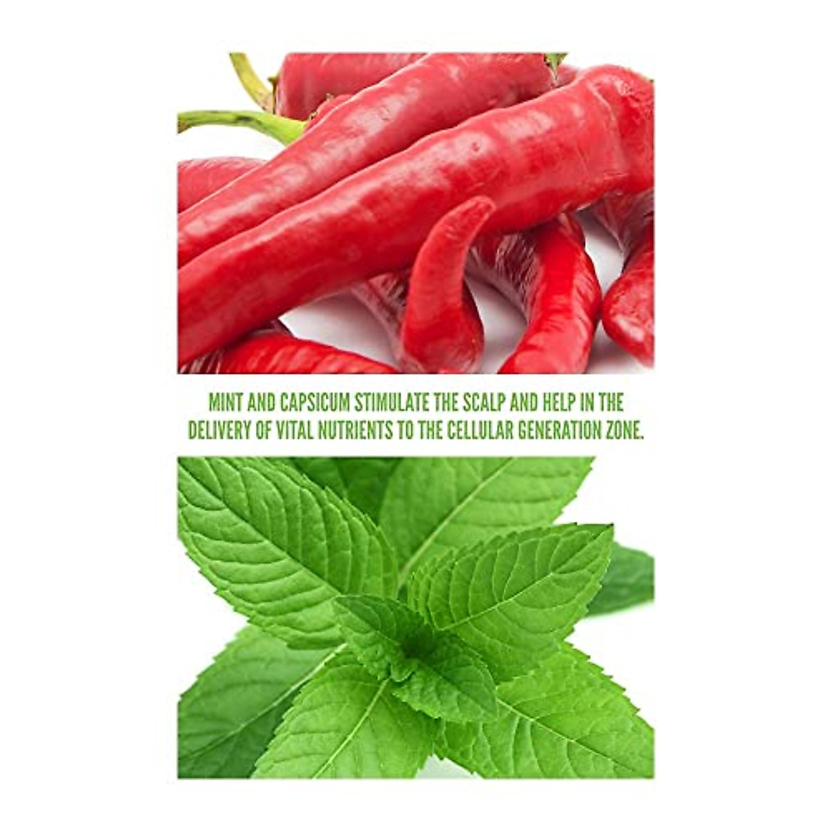 Surface Hair Awaken Therapeutic Conditioner, Healthy Hair Conditioner with Protein, Thickening Conditioner, Treatment for Thinning Hair and Hair Loss