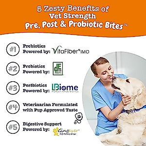 Zesty Paws Probiotics for Dogs - Digestive Enzymes for Gut Flora, Digestive Health, Diarrhea & Bowel Support - Clinically Studied DE111 - Dog Supplement Soft Chew for Pet Immune System - VS - 90 Count