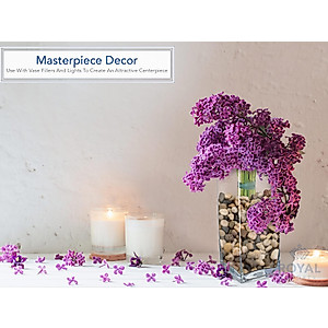 Royal Imports Flower Glass Vase Decorative Centerpiece for Home or Wedding - Tall Rectangle Shape, 12" Tall, 5"x5" Opening