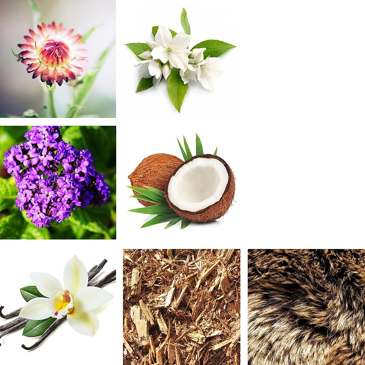 RACHEL ZOE Empowered Value Set - Designer Women Perfume, Body Spray for Women - Vanilla Eau de Parfum Sprays - Ideal Perfume Gift Set for Women - 3 pc