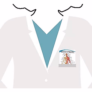 Muscles and Skeletal Anatomy Pocket Charts