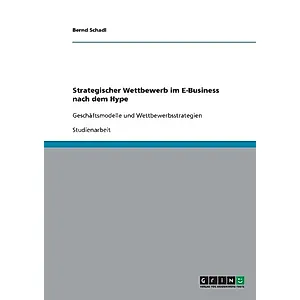 Strategischer Wettbewerb im E-Business nach dem Hype (German Edition)