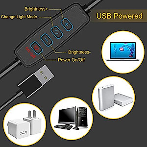Video Conference Lighting Kit 3000k-6000K Dimmable Led Ring Lights Clip on Laptop Monitor for Remote Working, Distance Learning,Zoom Calls, Self Broadcasting and Live Streaming, YouTube Video,TikTok