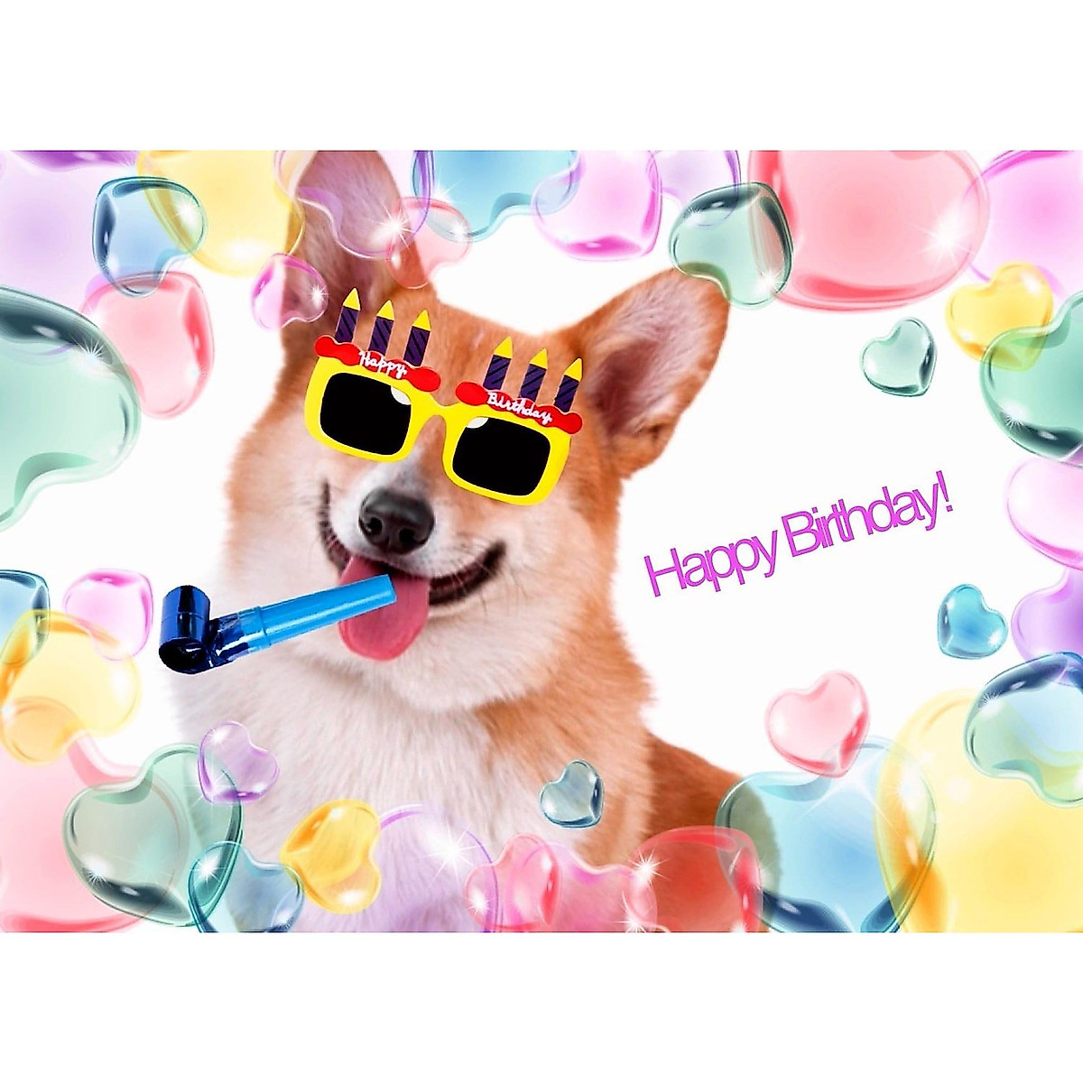 CafePress Happy Birthday Corgi Folded Greeting Card Glossy