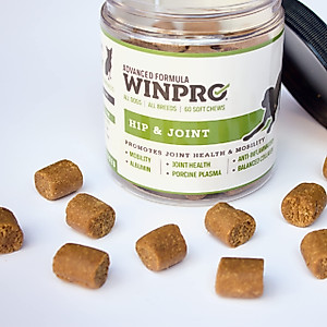 WINPRO | Dog Hip and Joint Supplement, Plasma-Powered Chews for Joint Support in Dogs of All Breeds and Sizes, Fast Acting with Collagen, 60 Count, Made in USA