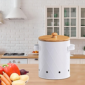 Bothyi Rustic/Farmhouse Potato Storage Canister, White Medium, Food Storage Container, Single, Ventilated & Portable, Rectangular Flip Top, 22.5cm x 22.5cm x 19.5cm
