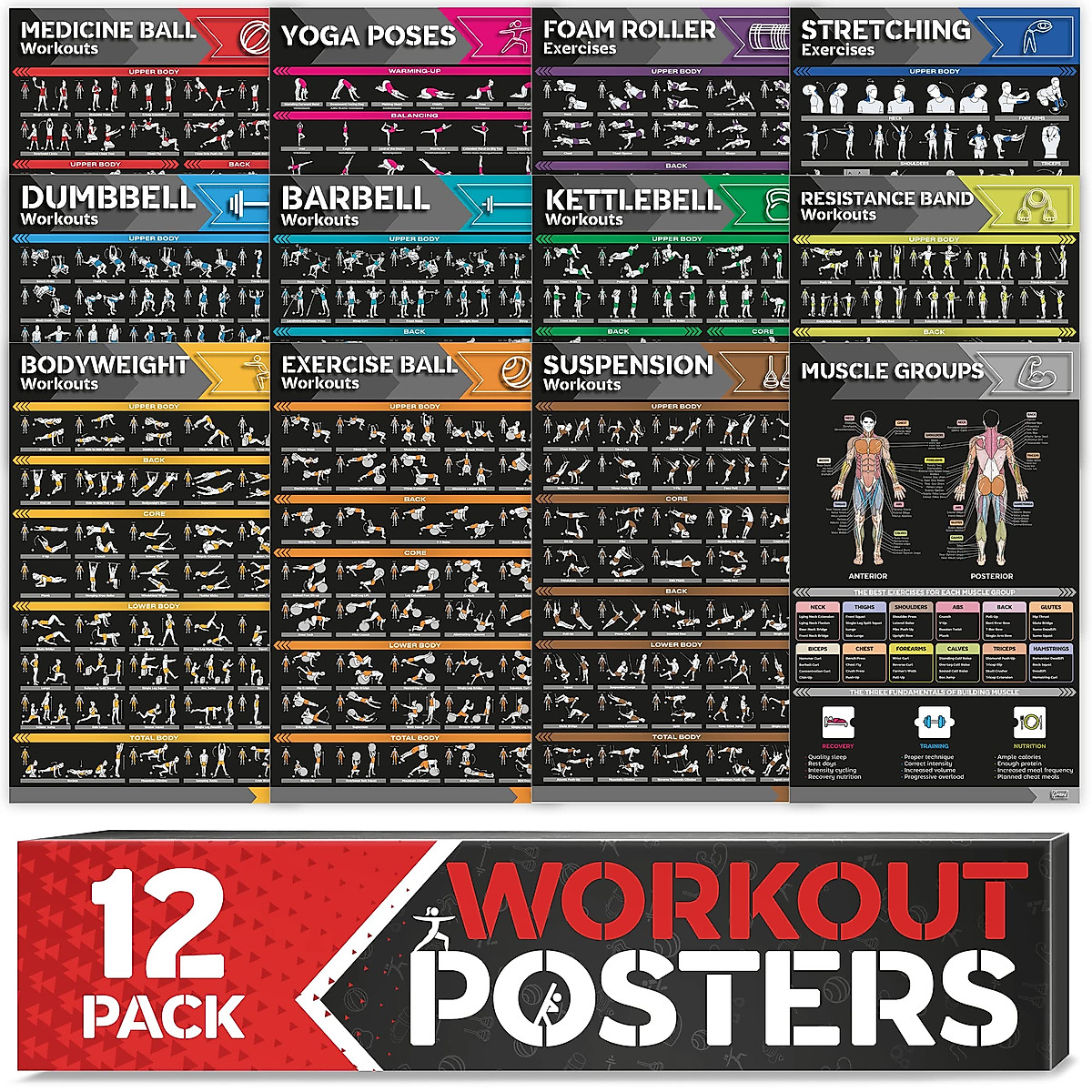 [12-PACK] Laminated Large Workout Poster Set - Perfect Workout Posters for Home Gym - Exercise Charts Incl. Dumbbell, Yoga Poses, Resistance Band, Kettlebell, Stretching & More Fitness Gym Posters