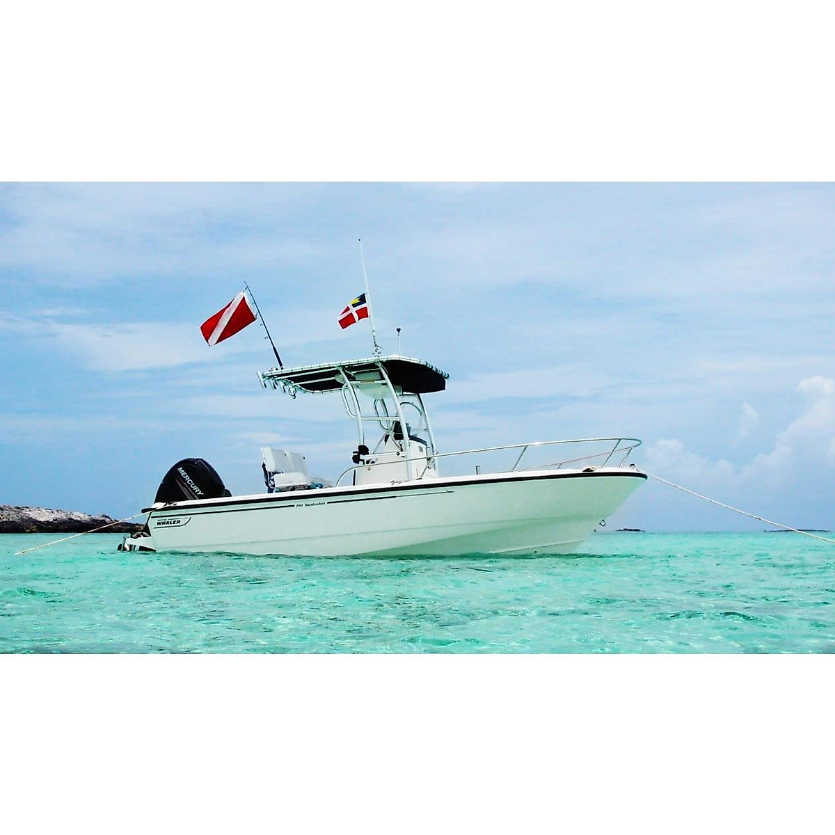 Fishmaster Pro Series Boat T-Top for Center Console Fishing Boats - Universal Fit - Polished and Anodized - Blue Top