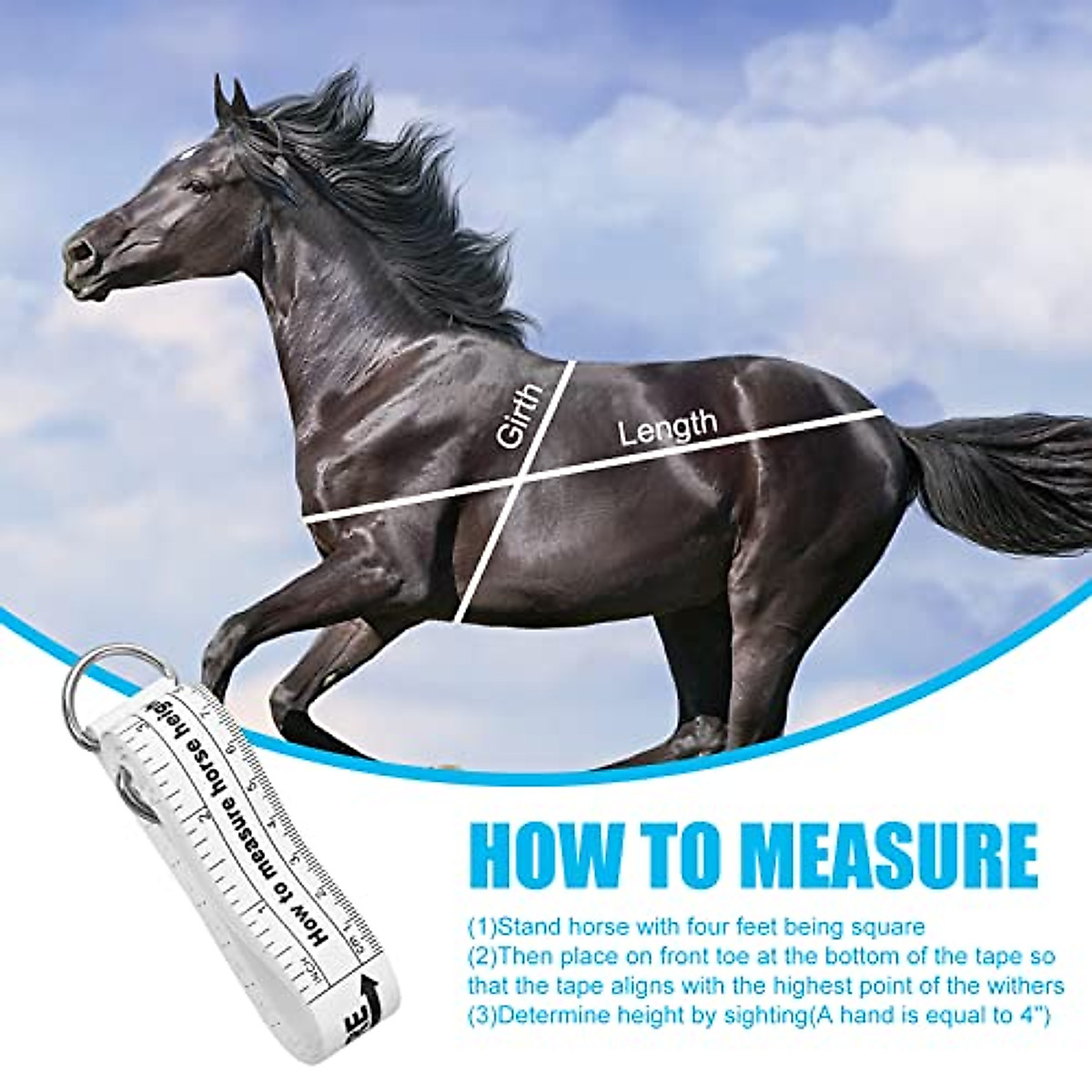 QUEEN KING Horse Measuring Tape for Height and Weight Multifunctional Measuring Stick Horse Weight Tape PVC Weight Tape 8.2ft Long