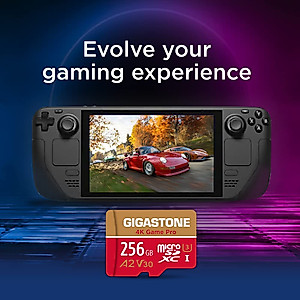 [5-Yrs Free Data Recovery] GIGASTONE 256GB 2-Pack Micro SD Card, 4K Game Pro, A2 V30 MicroSDXC Memory Card for Nintendo-Switch, 4K UHD Video, Up to 100/60 MB/s, UHS-I U3 C10 with Adapter