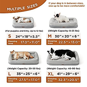 Lesure Memory Foam Dog Bed - Orthopedic Dog Bed for Medium Dogs Made with CertiPUR-US® Certified Foam - Bolster Pet Bed with Removable Washable Cover and Waterproof Lining, Grey