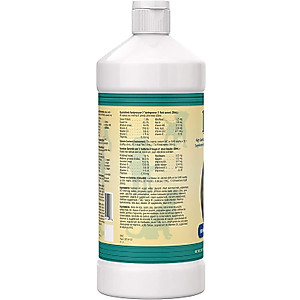 Pet-Ag Dyne High Calorie Liquid Nutritional Supplement for Dogs & Puppies 8 Weeks and Older - 32 oz, Pack of 2 - Supports Performance and Endurance - Sweet Vanilla Flavor