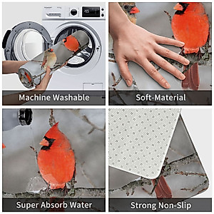 Bath Rugs Cute Cardinal Birds Standing on Branches Door Mat Outdoor Winter Birds Natural Design Doormat Non Slip Absorbent Bathroom Rug Carpet for Home Entrance Kitchen 16x24in
