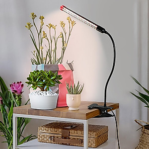 FECiDA Clip On Grow Lights for Indoor Plants 1000 Lumen 9W, 2024 Newest Brightest LED Plant Grow Light for Houseplants, Bonsai, Pot Plant, Full Spectrum Growing Lamp with 4,8,12 Hr Timer