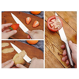 Hollory 5 Inch Kitchen Utility Knife, German High Carbon Stainless Steel Blade and Full Tang Handle, Fruit and Vegetable Cutting Chopping Carving Knives-Silver