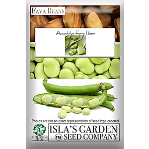 Aquadulce Fava Bean Seeds for Planting, 25 Premium Heirloom Seeds Per Packet, (Isla's Garden Seeds), Non GMO Seeds, Botanical Name: Vicia faba, Great Home Garden Gift