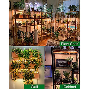 DOMMIA Grow Lights for Indoor Plants, 20W Full Spectrum LED Grow Light with Auto ON & Off Timer, 132 LEDs Sunlike Plant Light for Hydroponics, Succulents & More, Easy to Assemble（2Pcs）