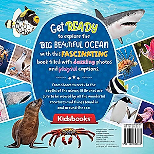 Big Beautiful Ocean – A Photographic Exploration – Perfect for Infants and Toddlers, Ages 0-3 – Nature and Science Photo Book